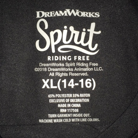 Dreamworks | Shirts & Tops | Dreamworks Spirit Long Sleeve Tee | Poshmark